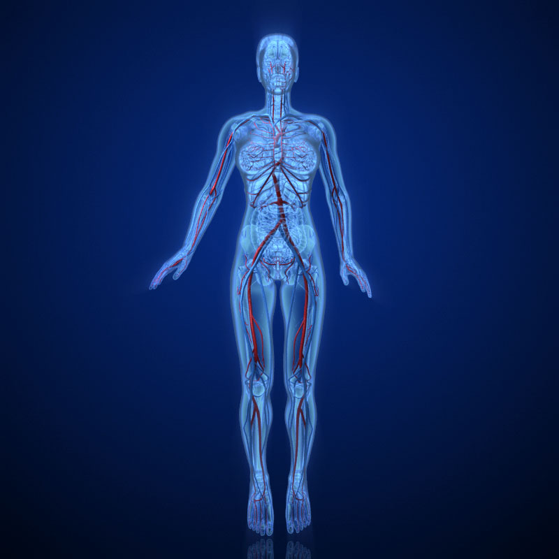 Thrombopénie - NetCancer