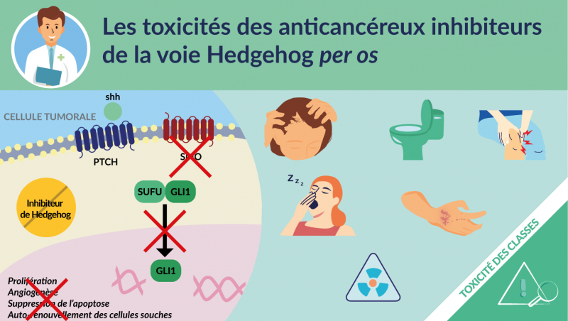 Les toxicités des inhibiteurs de la voie Hedgehog (per os) - NetCancer