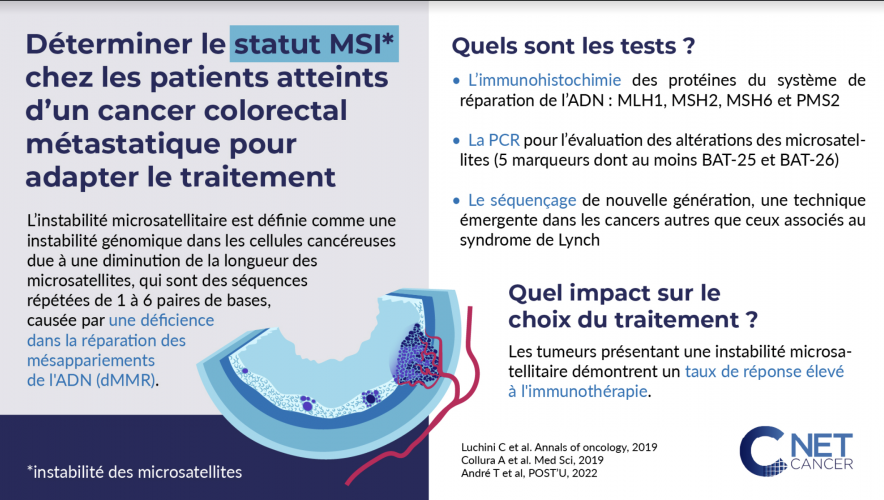 L'immunothérapie dans le traitement du cancer colorectal - NetCancer